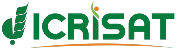 Manthan IT Solutions